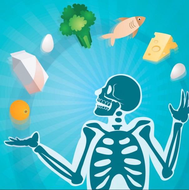 Foods That Heal Bones